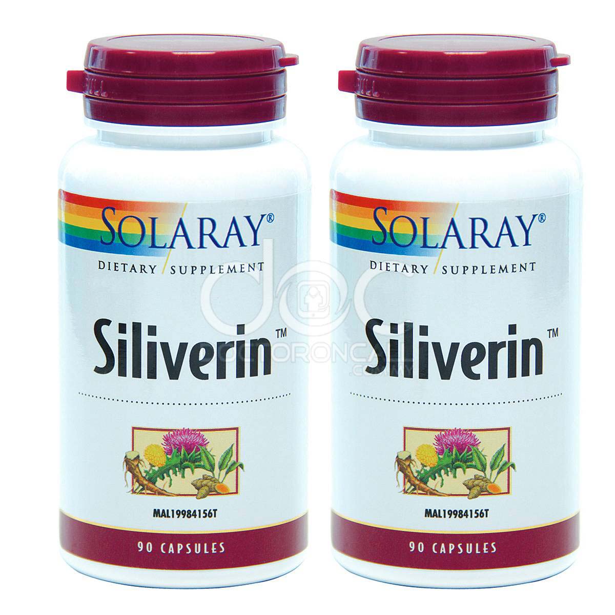 Solaray Siliverin Capsule 90s x2 - DoctorOnCall Global Pharmacy